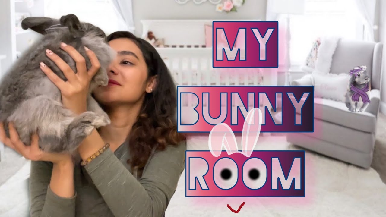 Bunny Room Setup | Fast & Easy - YouTube