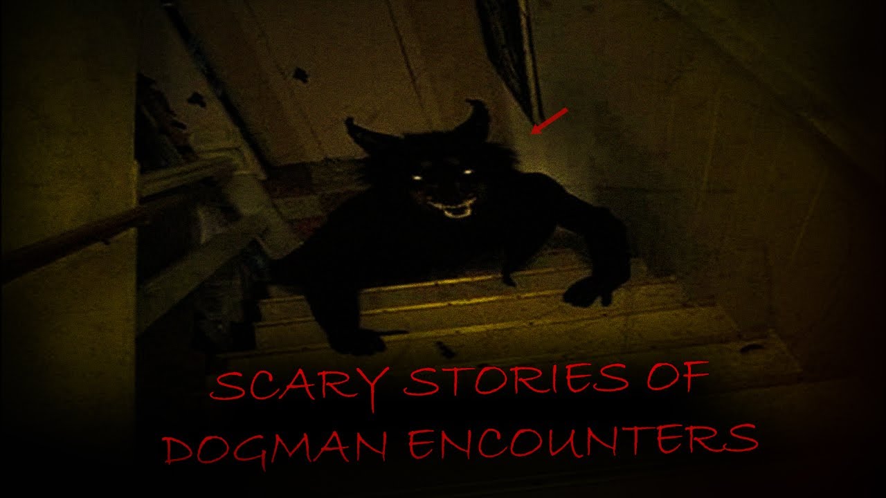 True Scary Stories of Dogman Encounters - YouTube