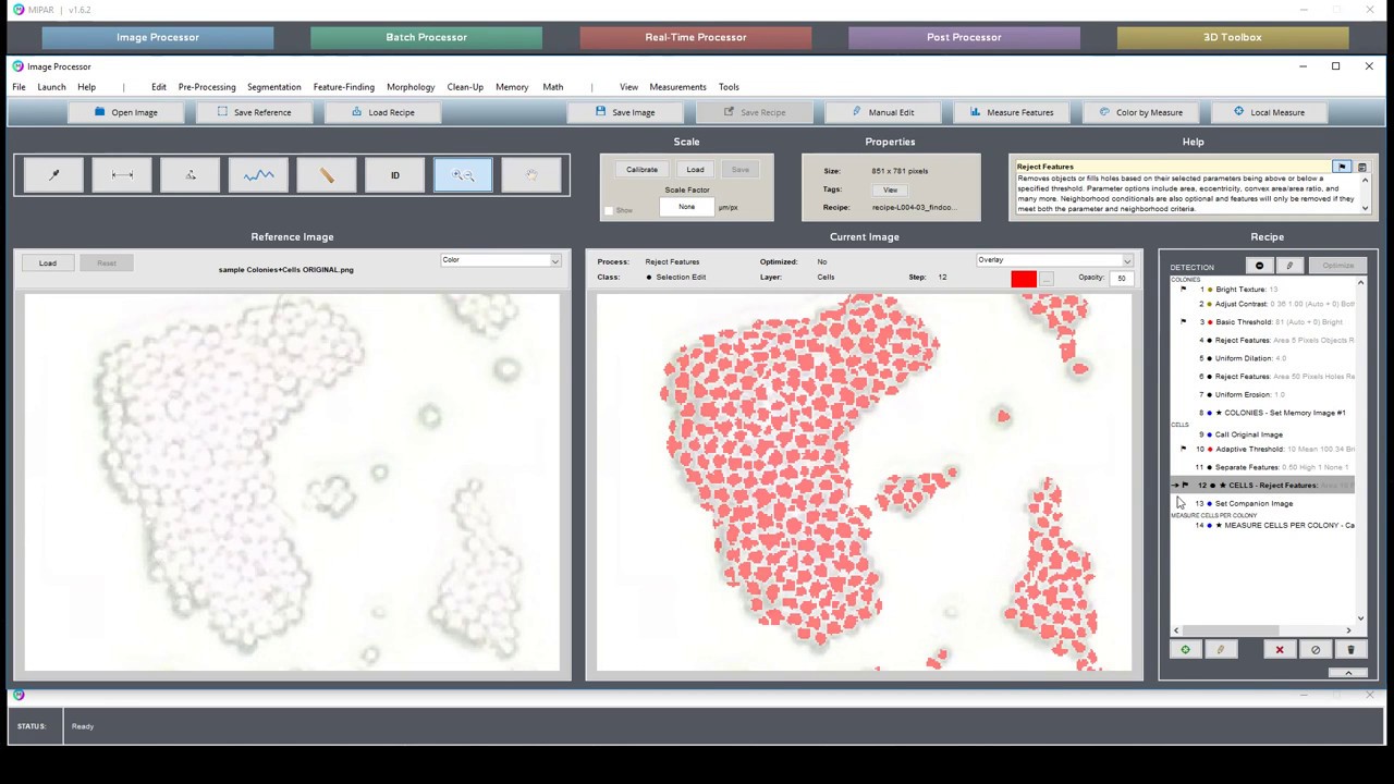 Colonies+Cells Video - YouTube
