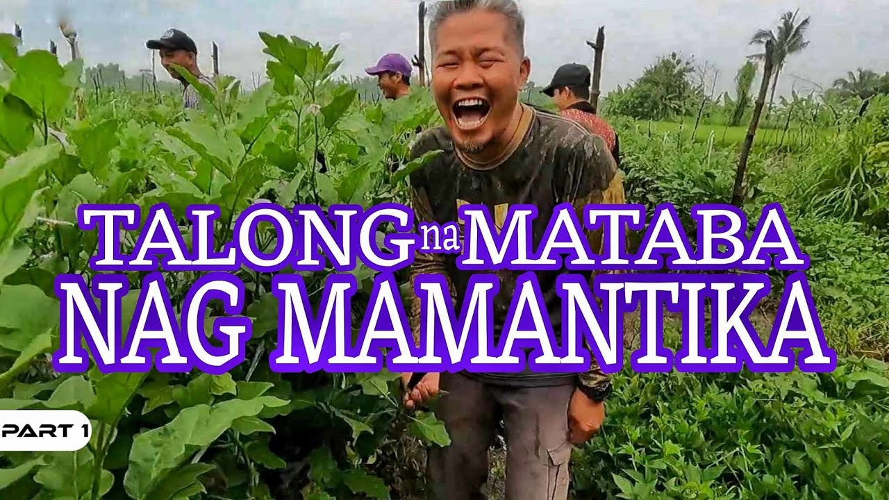 P1-Talong na Mataba, Nagmamantika - EP1468 - YouTube