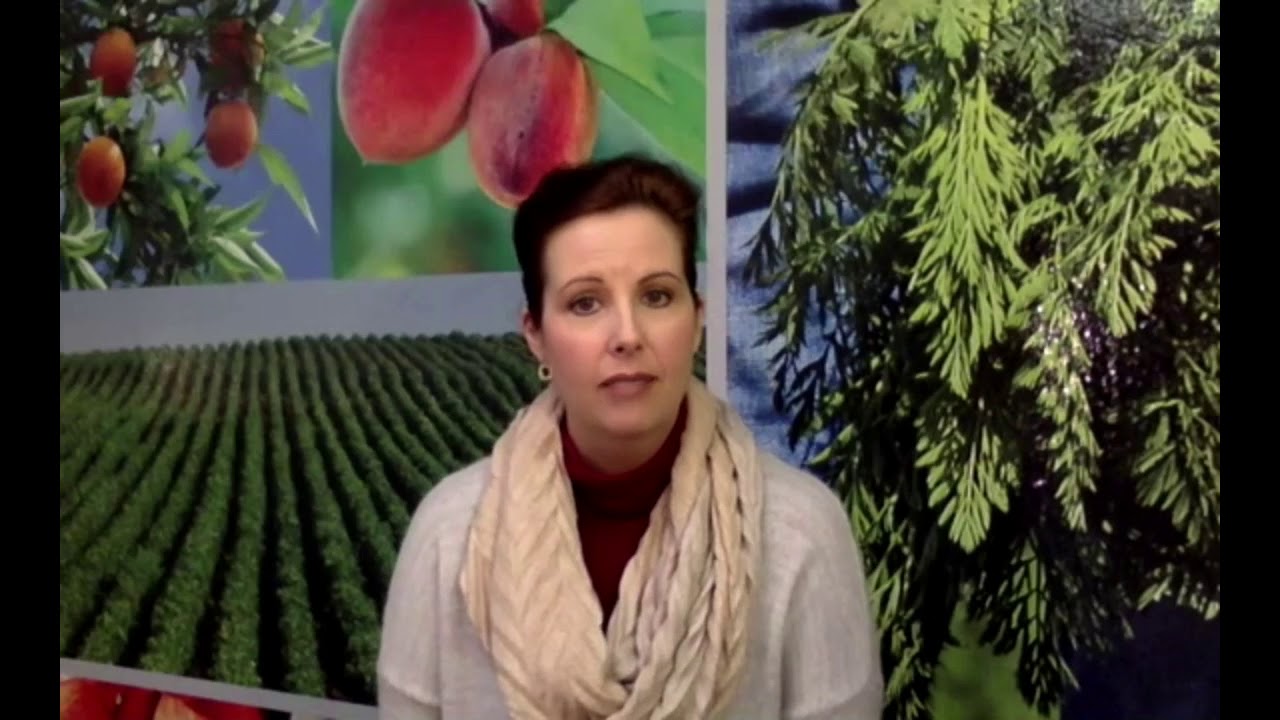 AgSafe Agricultural Certificate Programs - YouTube