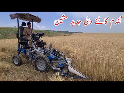 Modern wheat cutting machine - YouTube