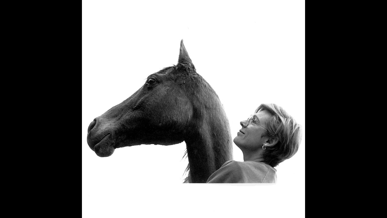 Endurance Rider Becky Hart on her most Harrowing experience - YouTube