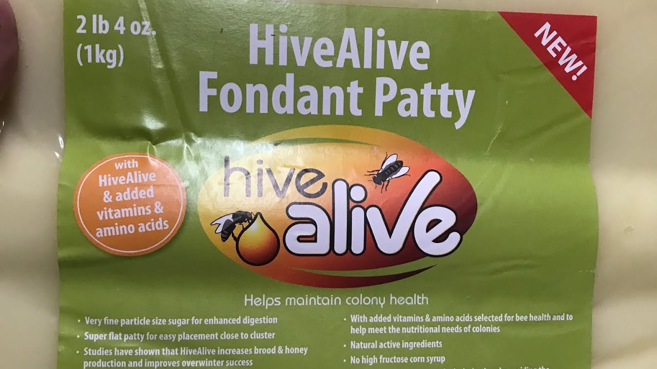 Hive Alive Fondant Patties & HillCoBees.com S3E3 - YouTube