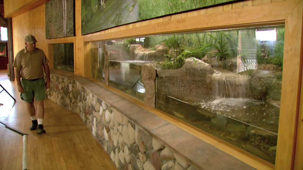 New Aquariums - DNR State Fair Building - YouTube