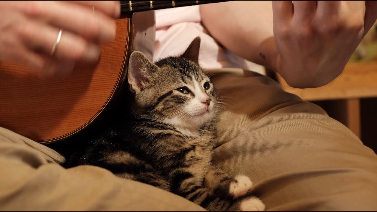 Snowy Band "Never Change" - YouTube