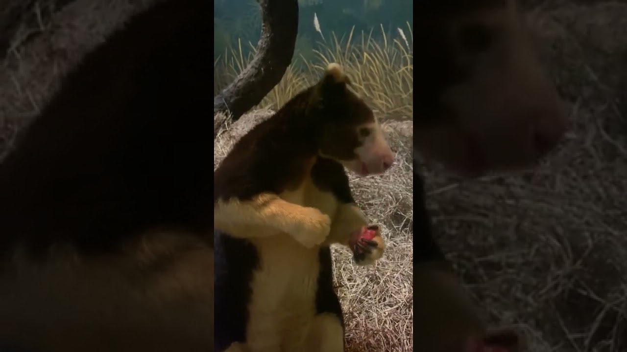 Sound on for the cutest munching noises One of the perks of being a ...