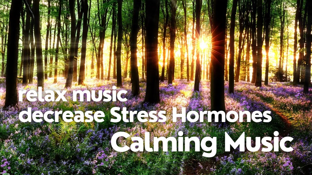 Relaxing Music | Instrumental Music Reduces Stress Hormones - YouTube