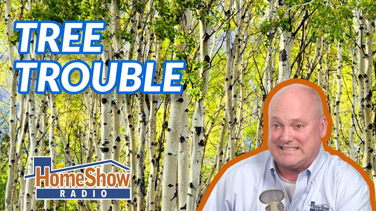 Oak Tree Root Remedy - YouTube