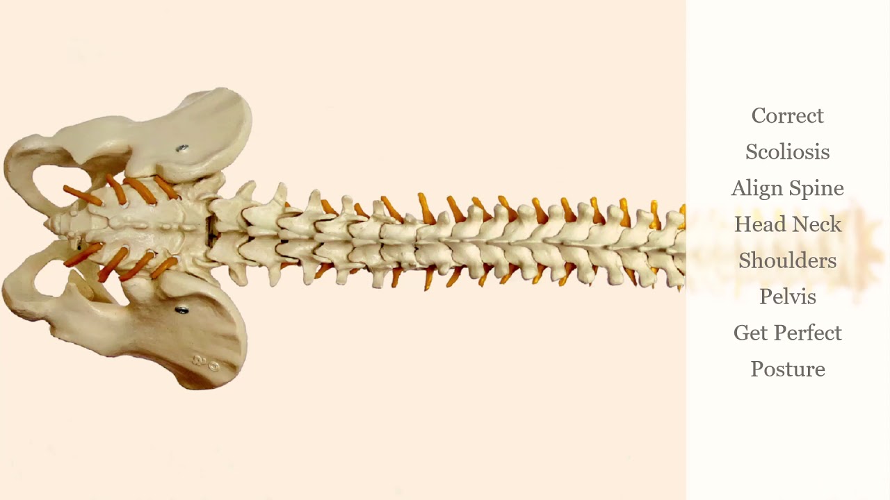 Perfect Posture Correct Scoliosis Spine & Head Alignment Pain Relief ...