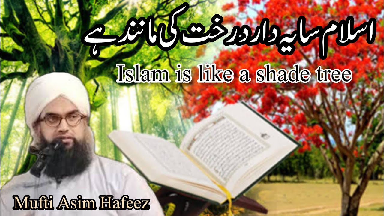 Islam is like |a shade tree dar |al aloom ilm wa Amal| Mufti Asim ...