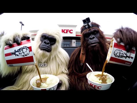 1 Hour of Bigfoot and Yeti Camping in the Wild