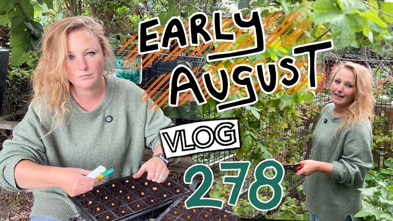 Plot Update. Pruning Loganberry. Sowing brassicas for 2026. Ep 278 ...