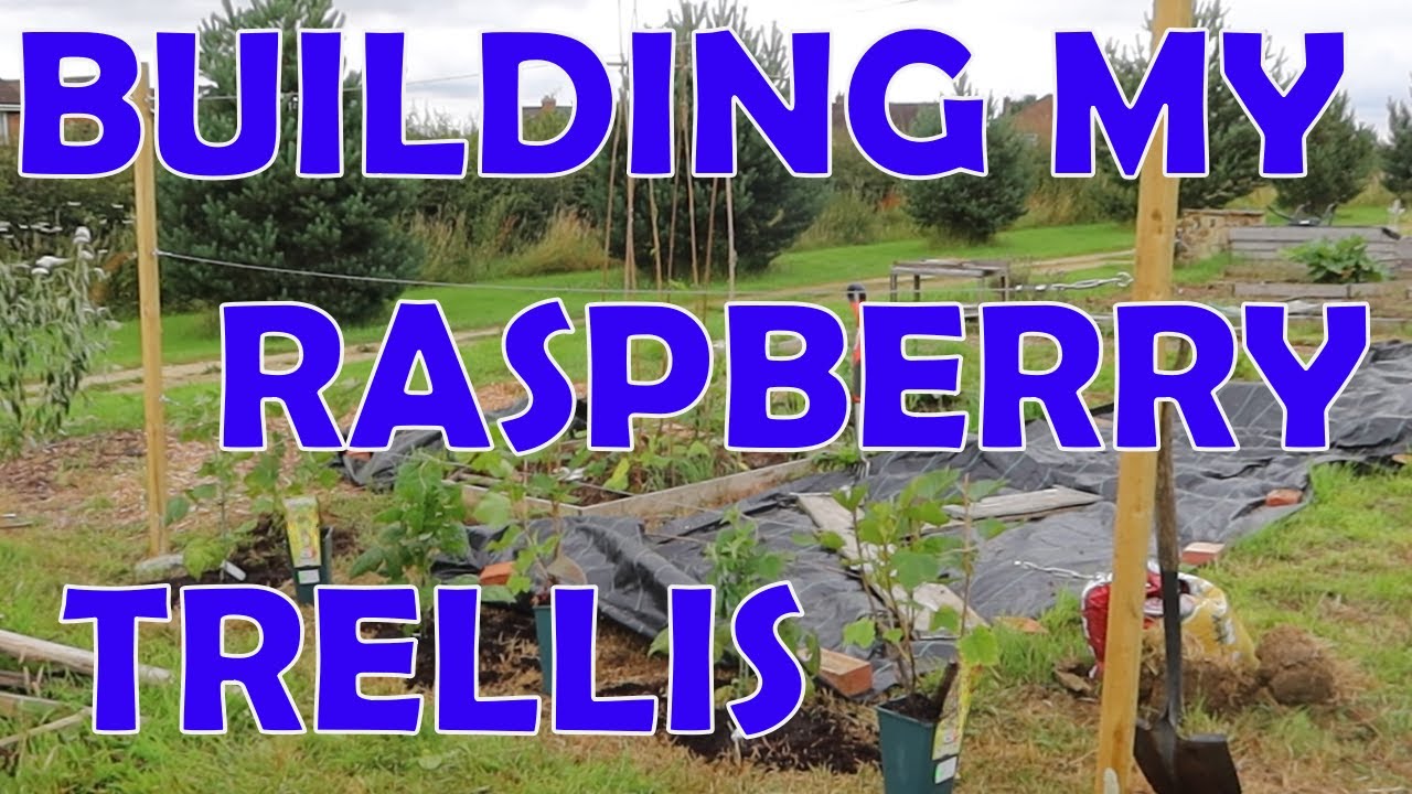 Building a Raspberry Trellis - YouTube