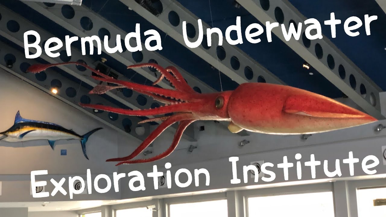 Bermuda Underwater Exploration Institute (BUEI) - Rambling with Phil ...