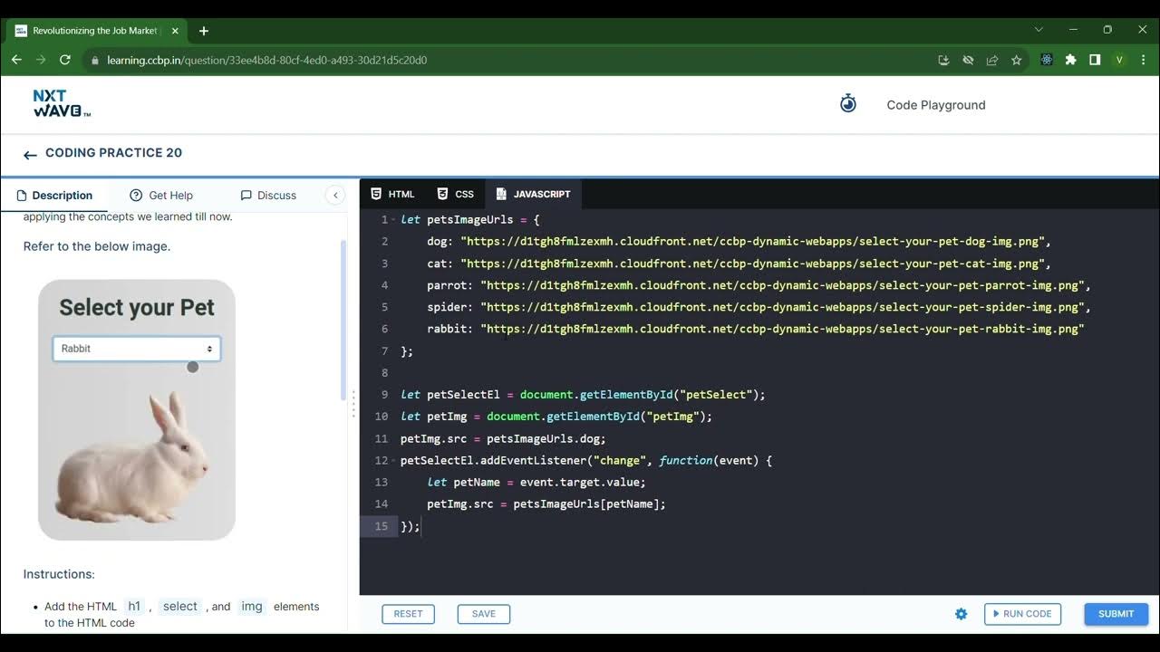 Select your Pet | Coding Practice 20 | Forms | NxtWave | ccbp 4.o - YouTube