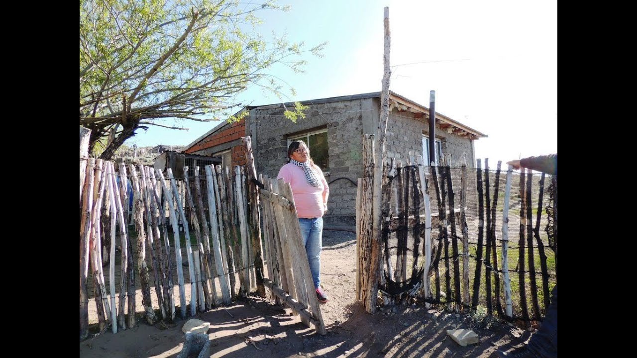 Tucura Sapo. La palabra de Damiana Tranamil comunidad Ranquil Huao ...