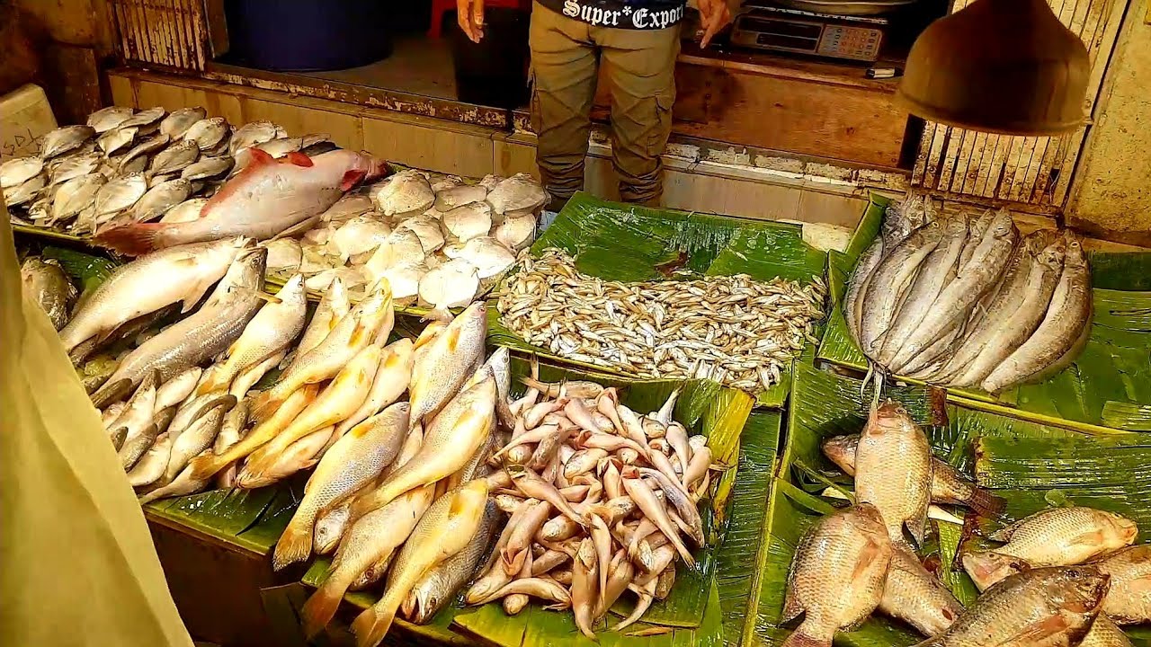 Sea fish market in Bangladesh | Sea foods Market - YouTube