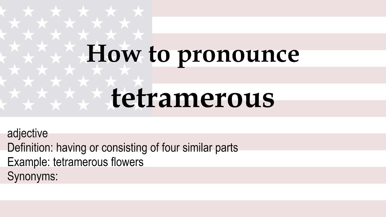 How to pronounce 'tetramerous' + meaning - YouTube