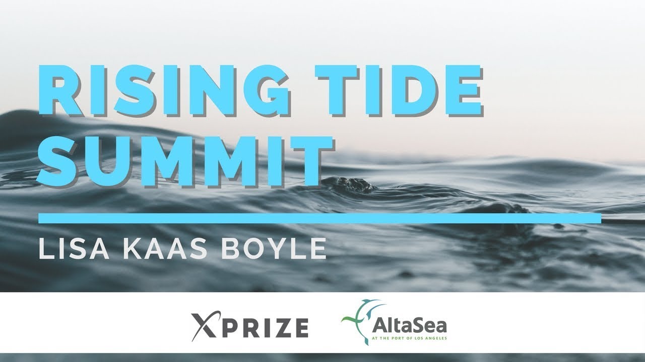 Why Businesses Should Support Ocean Friendly Legislation with Lisa Kaas ...