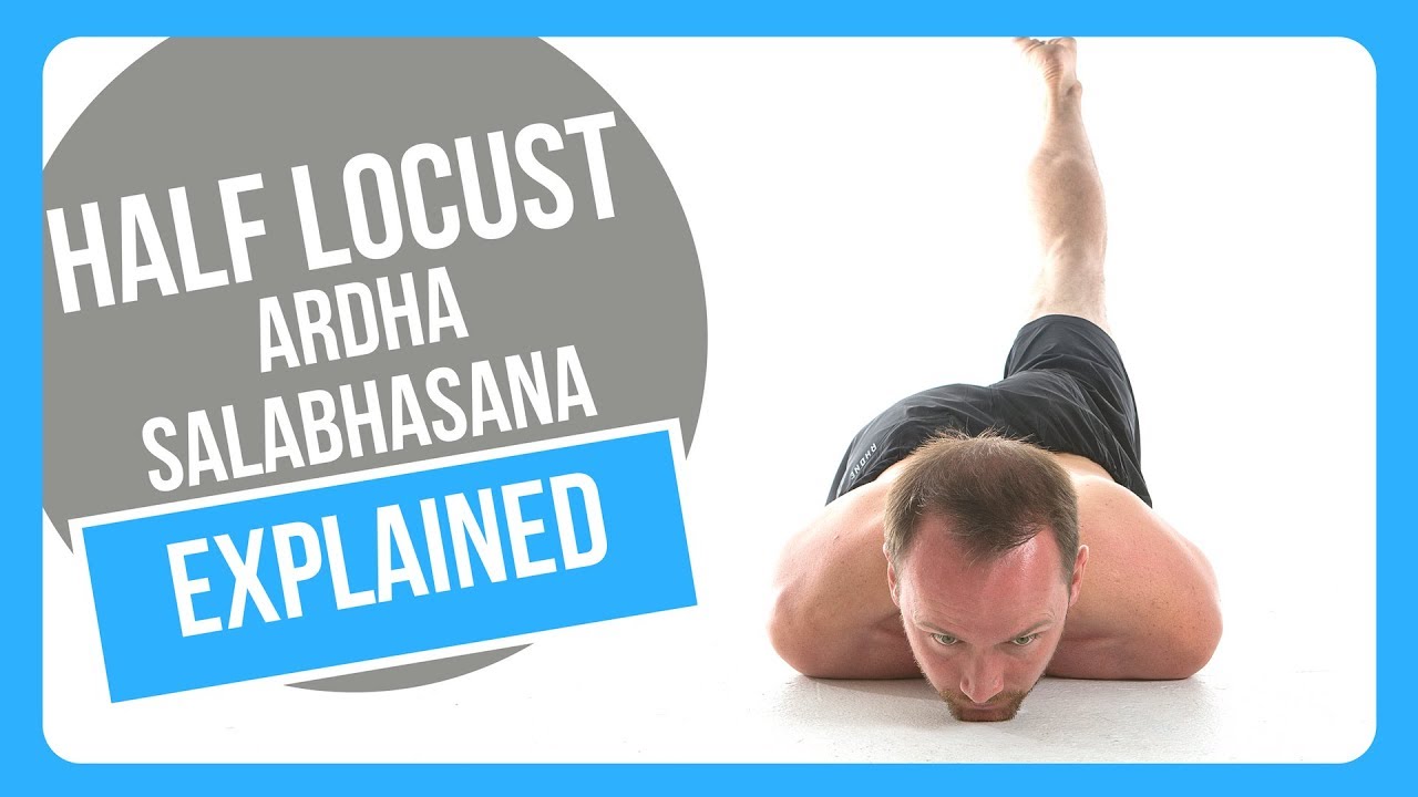 How to do Half Locust (Ardha Salabhasana) - YouTube