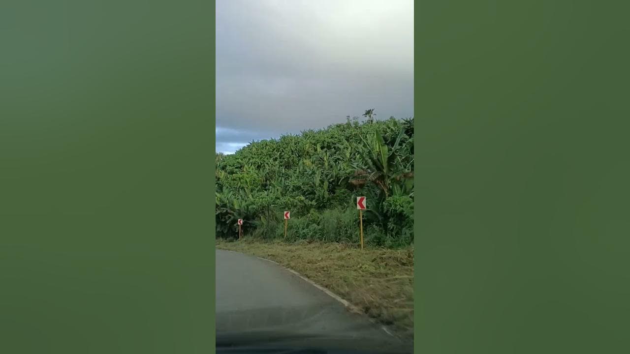 Bypass road Pagbilao/Gumaca Quezon - YouTube