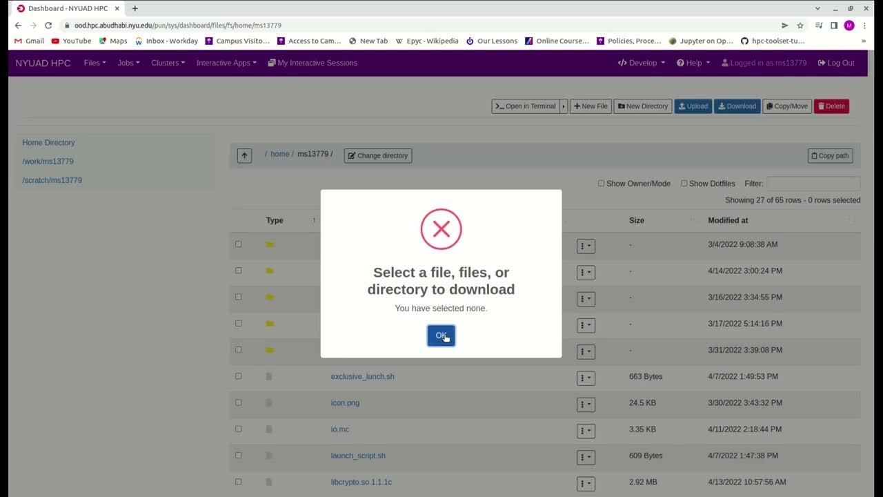 Open OnDemand Files - YouTube