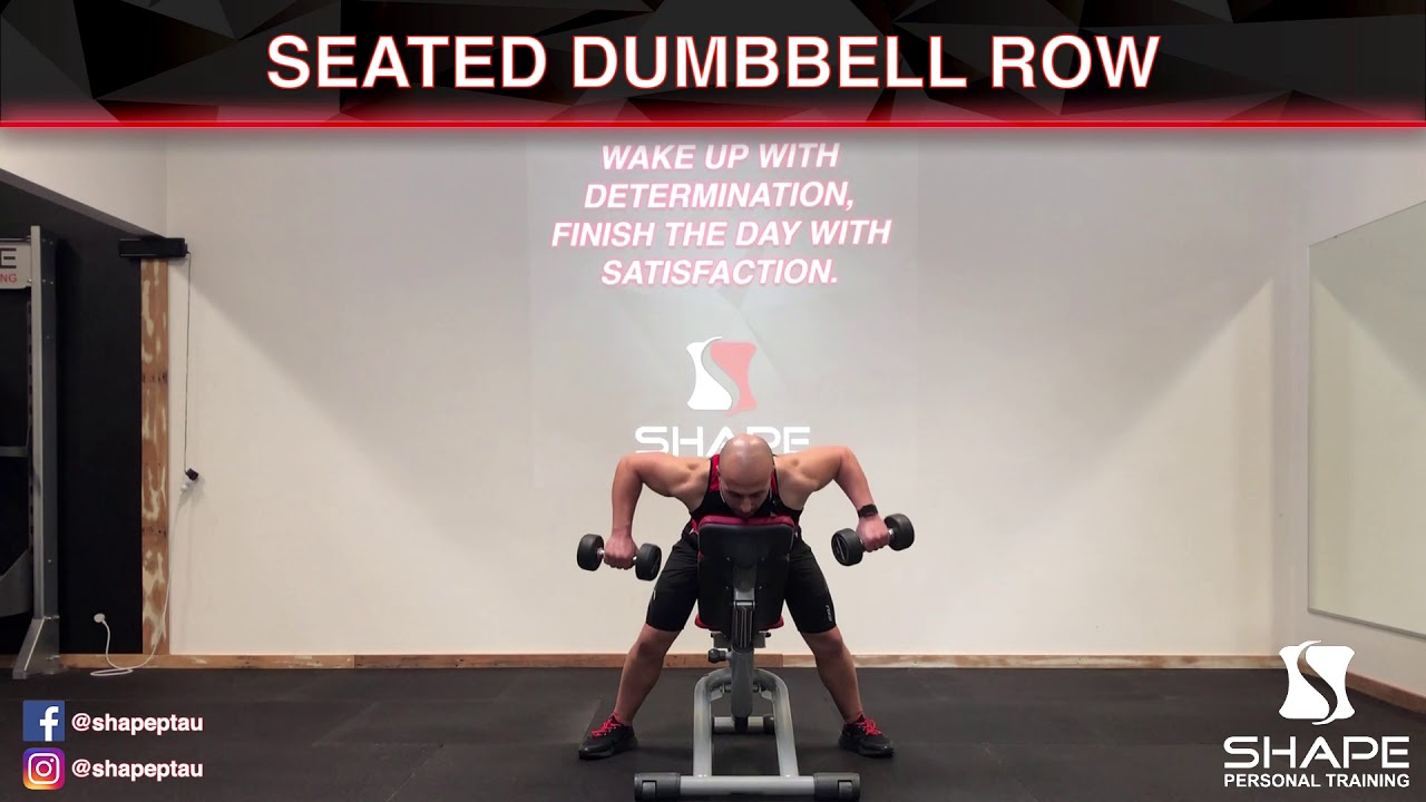Seated Dumbbell Row - Shape Personal Training - YouTube