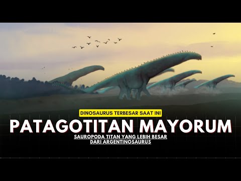DINOSAURUS TERBESAR SAAT INI, Patagotitan Mayorum, Lebih Besar dari Argentinosaurus