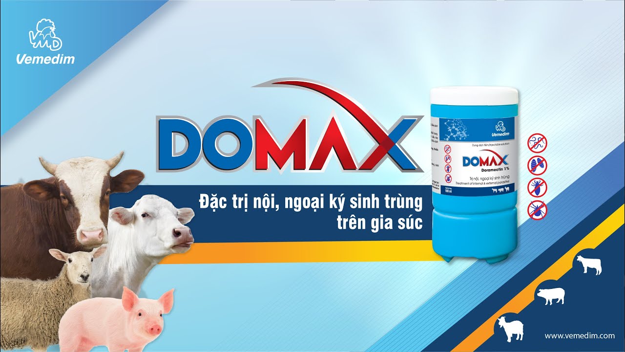 GIỚI THIỆU SẢN PHẨM DOMAX DÀNH CHO GIA SÚC | VEMEDIM - YouTube