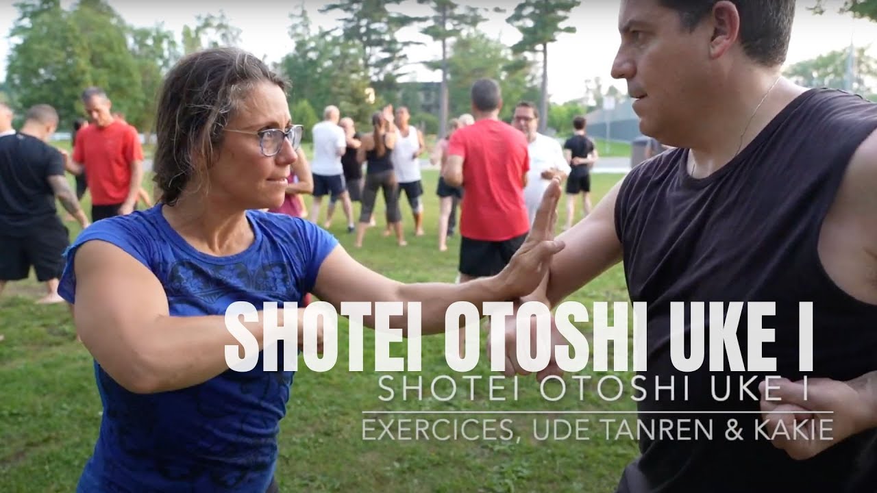 Shotei otoshi uke I, L'École martiale, Karaté-do goju-ryu Okinawa, EM ...
