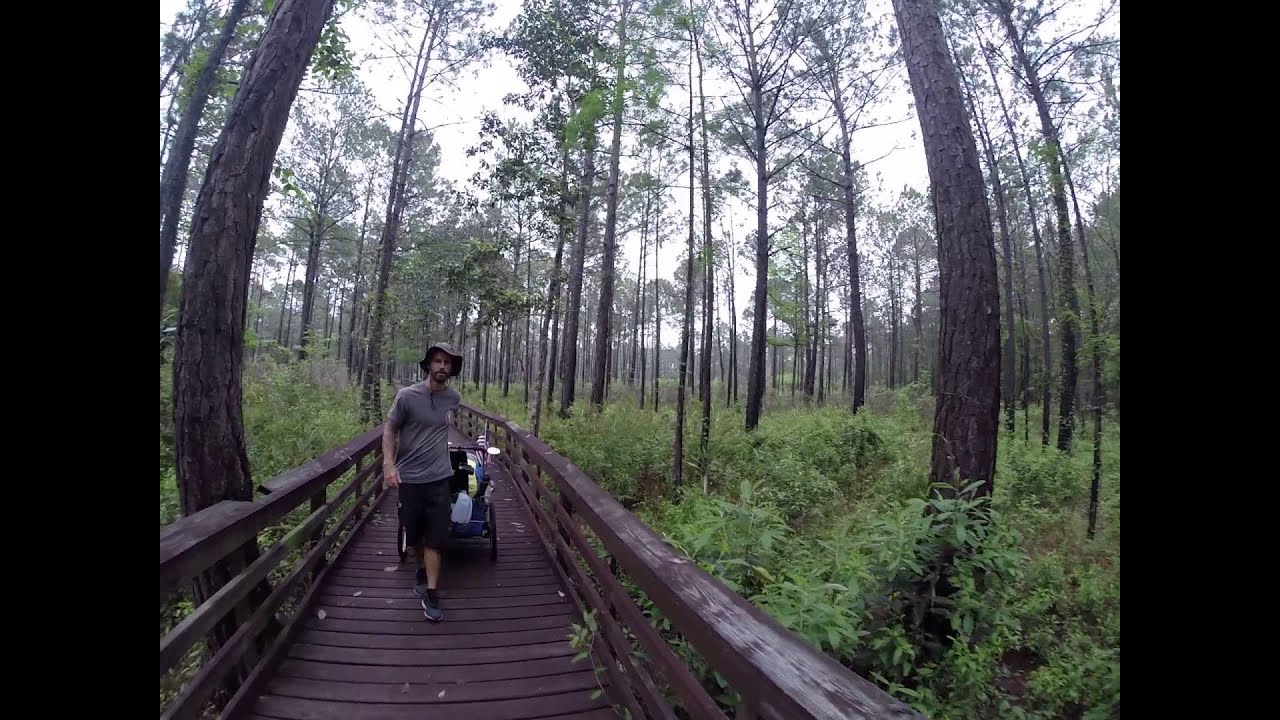 Swamp Living - YouTube