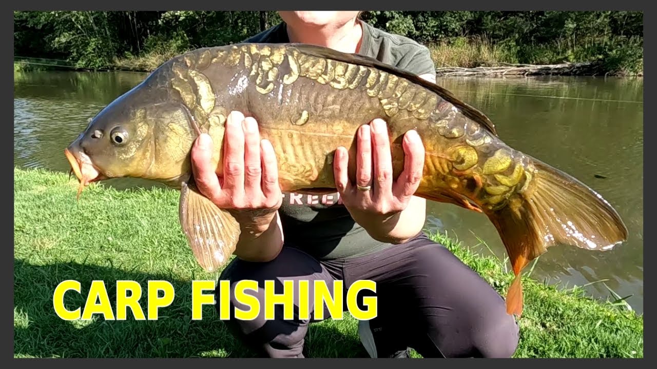 Carp Fishing multiple days and different locations - July and August ...