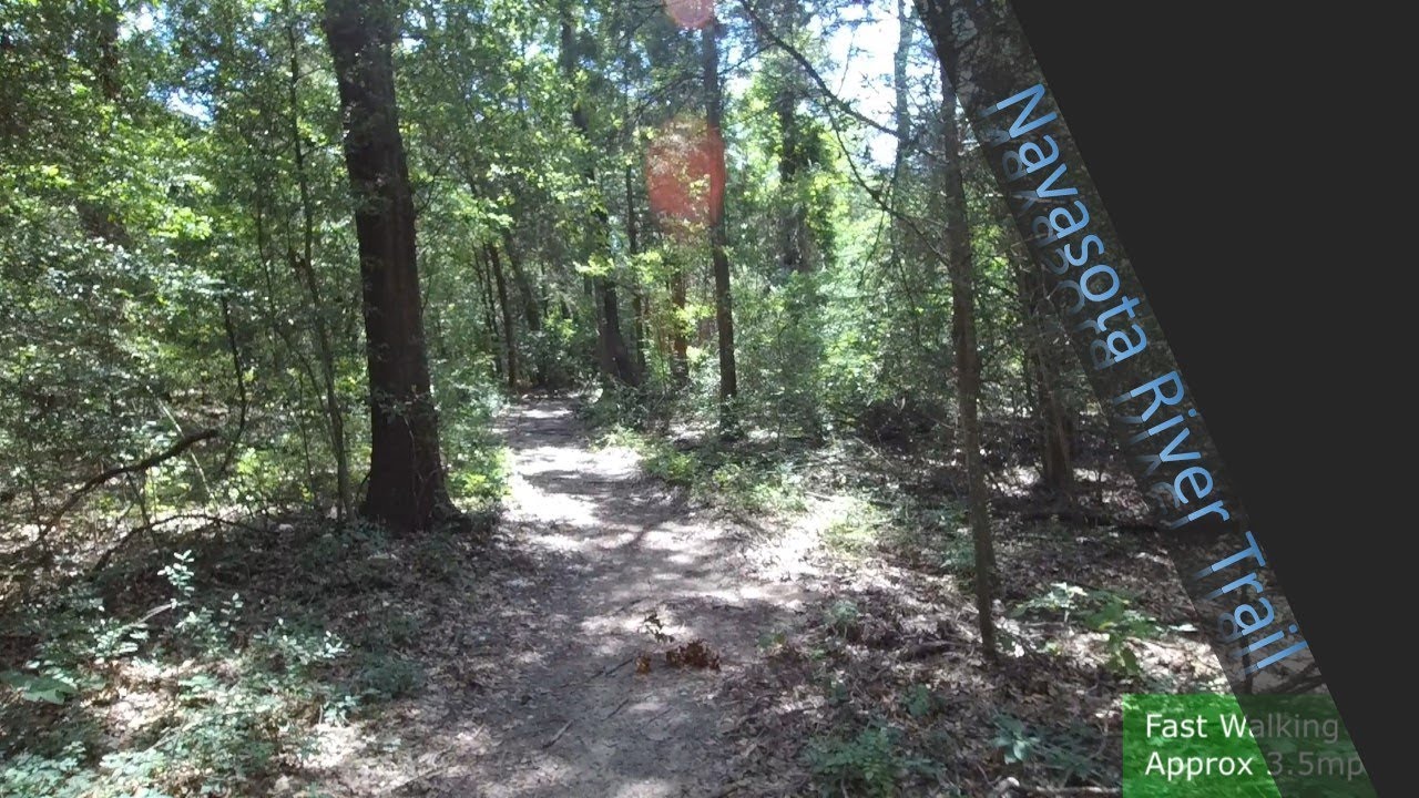 Navasota river trail, walking trail - YouTube