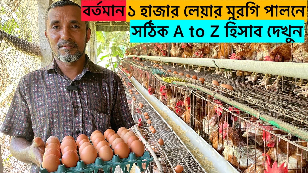 ১০০০ লেয়ার মুরগি পালনে A to Z হিসাব | layer murgi farm Bangla | 1000 ...