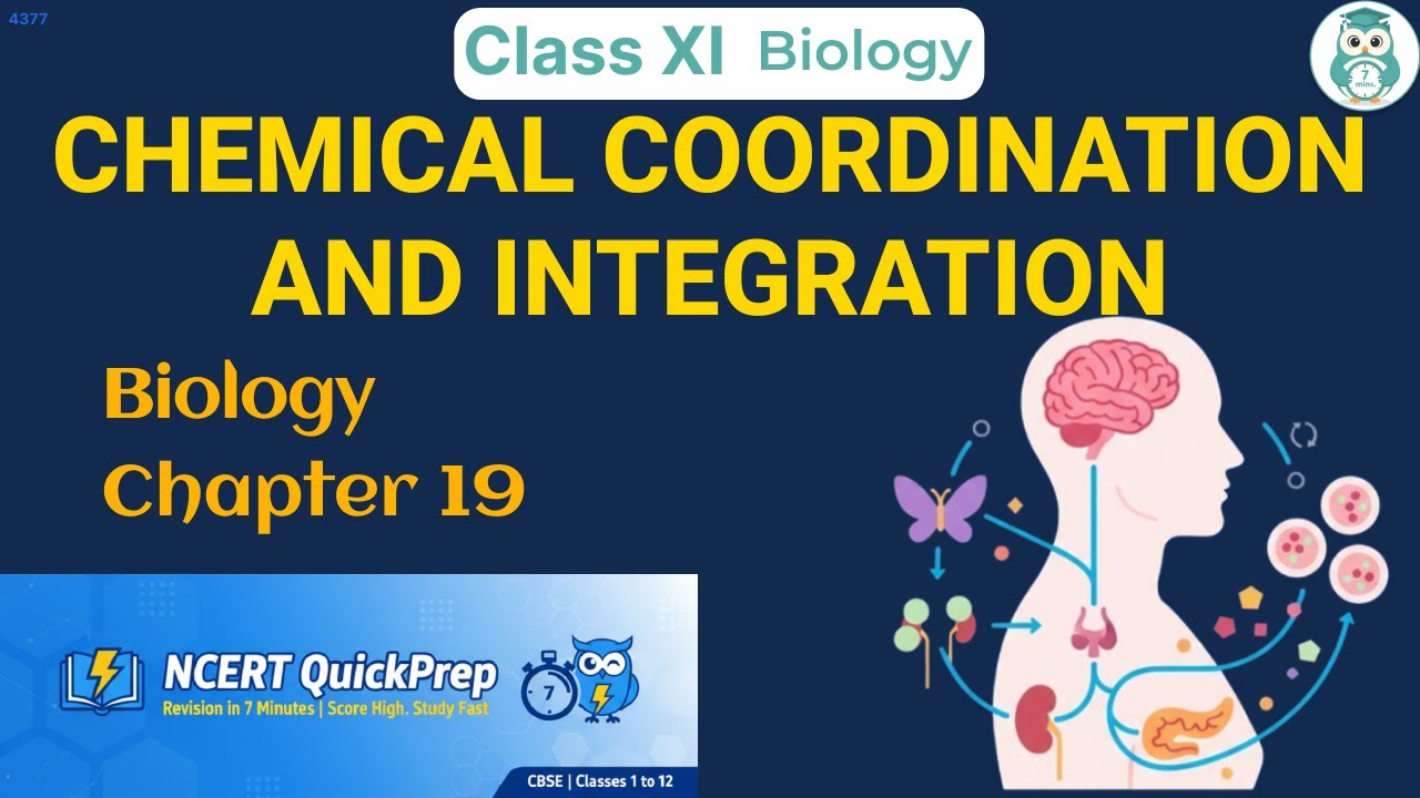 CHEMICAL COORDINATION AND INTEGRATION | Class 11 Biology Chapter 19 ...