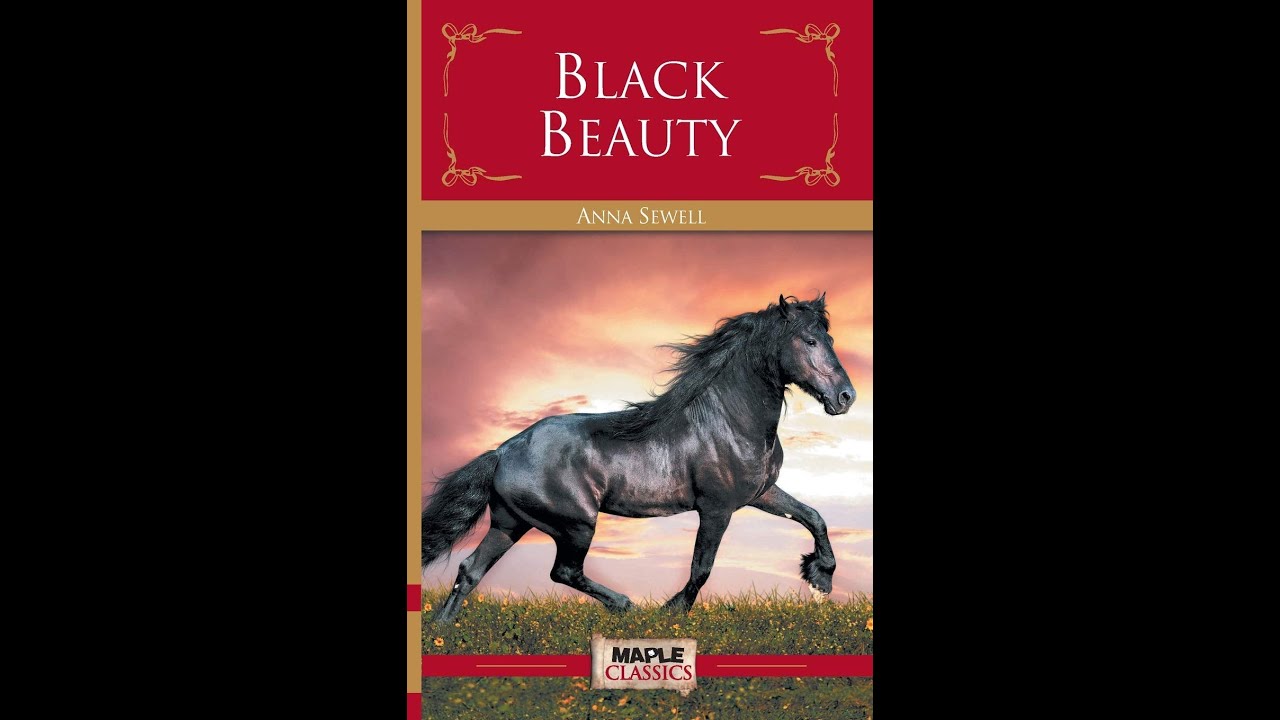 GINGER.Book lover// black beauty story// Ginger// easy to read and ...