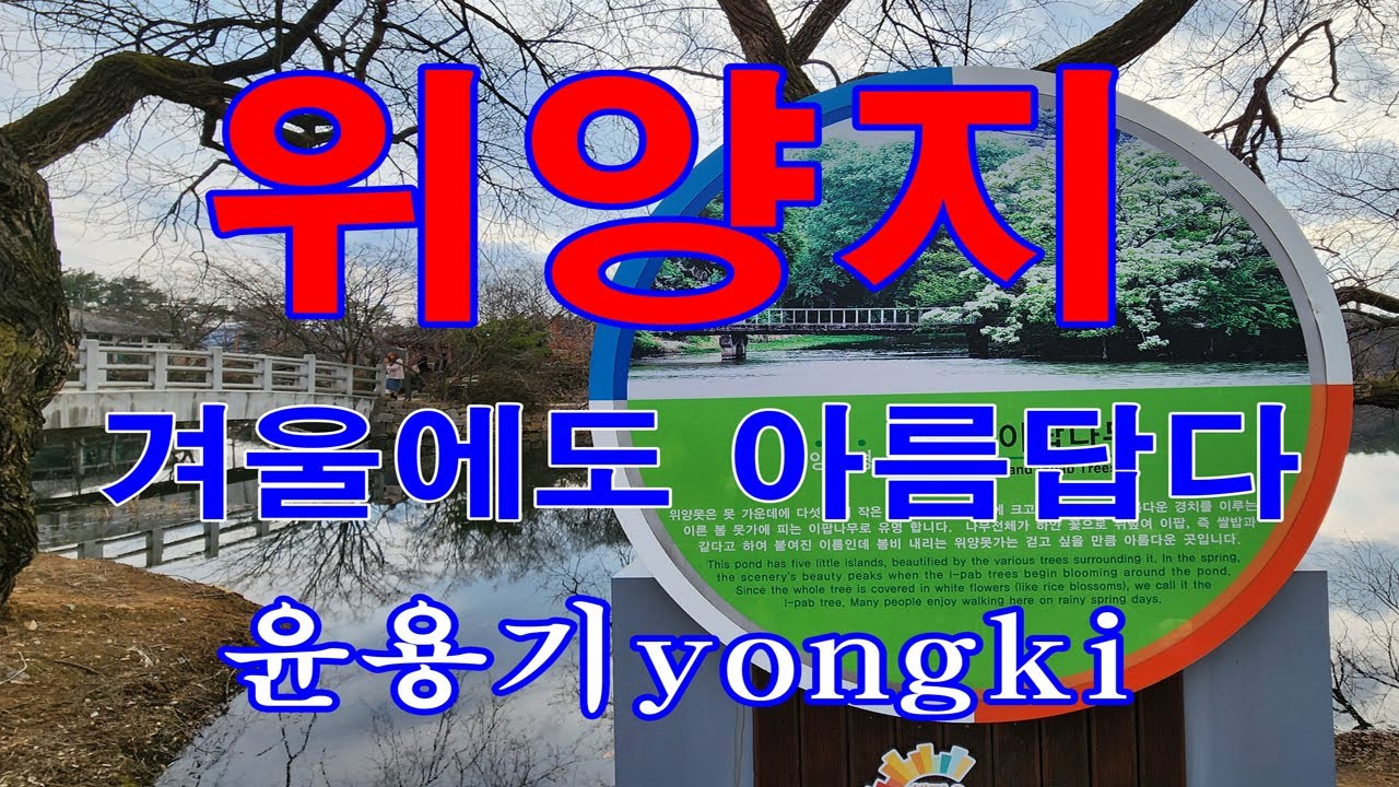 위양지 겨울에도 아름답다 Wi-Yang Pond I-Pab Trees #밀양위양지, #위양지겨울, #이팝나무, #완재정, #신라 ...