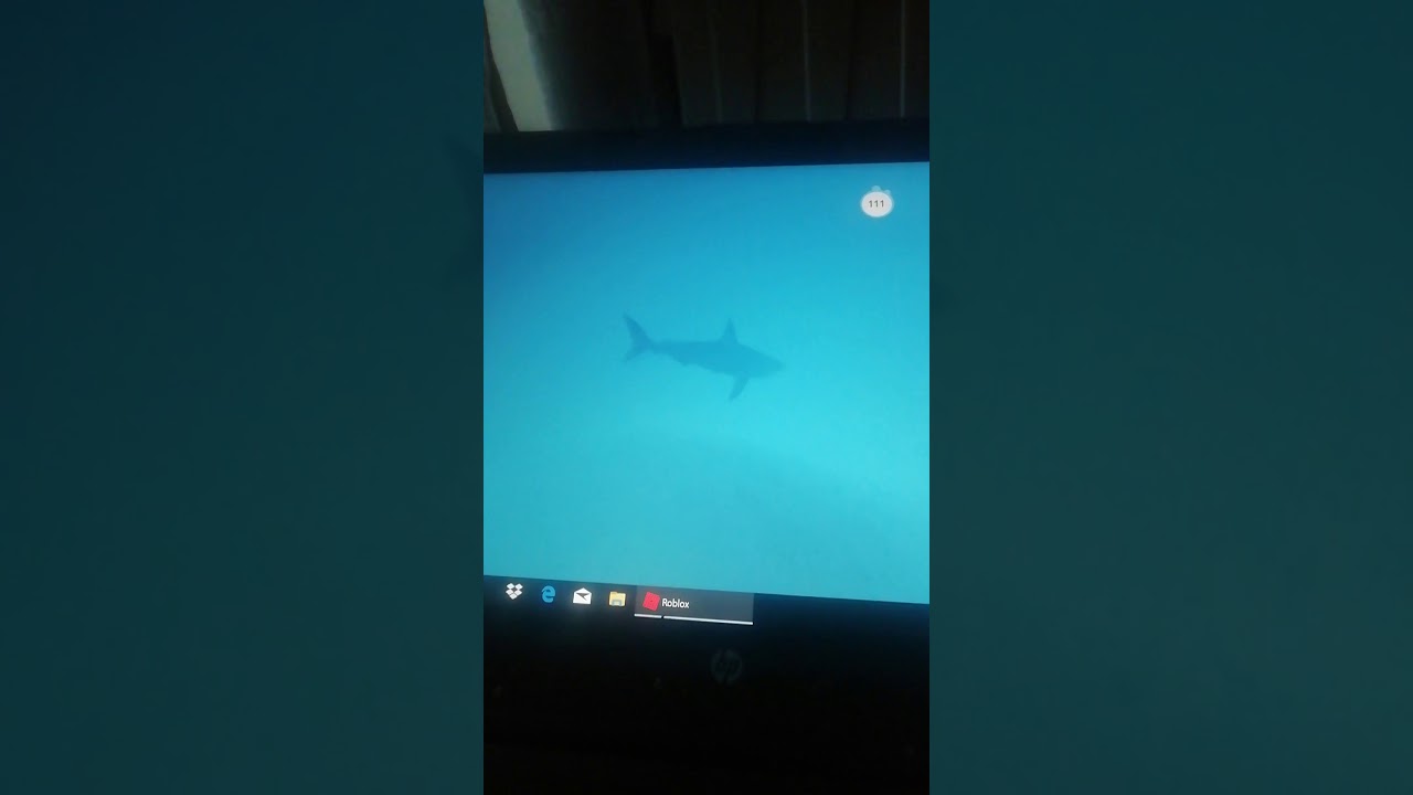 18. november 2019 - YouTube