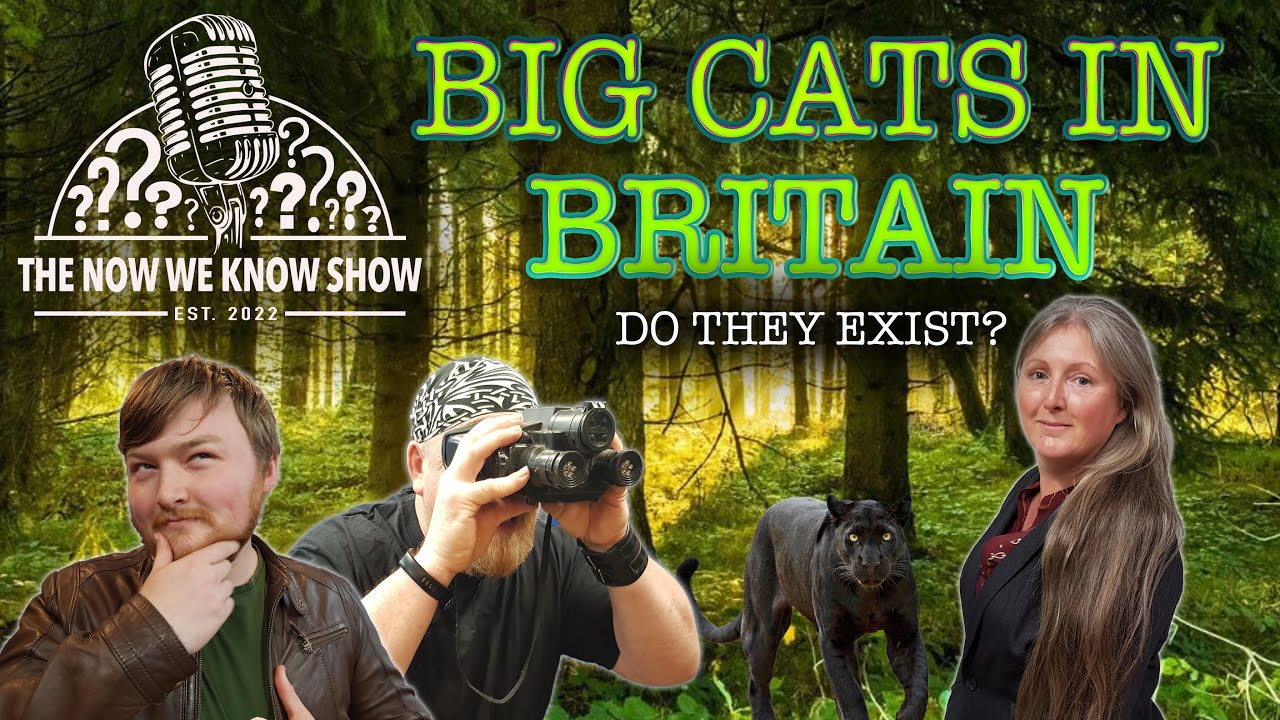 Big Cats in Britain - Do Big Cats Roam the British Countryside ...