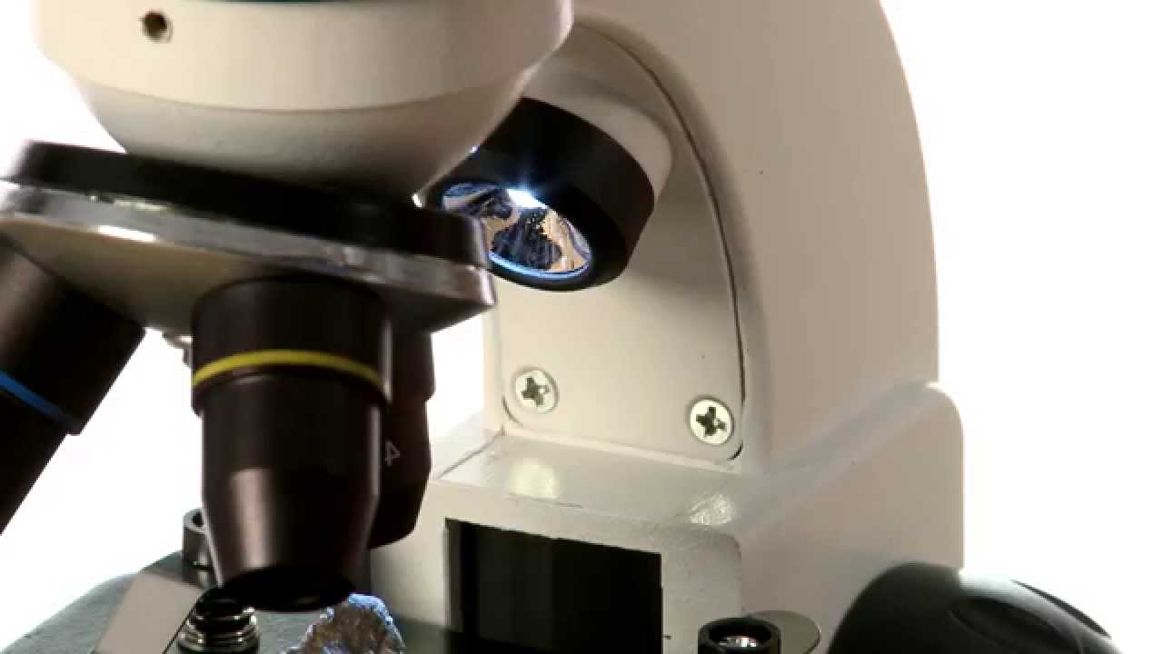 Duo Scope Microscope Kit - YouTube