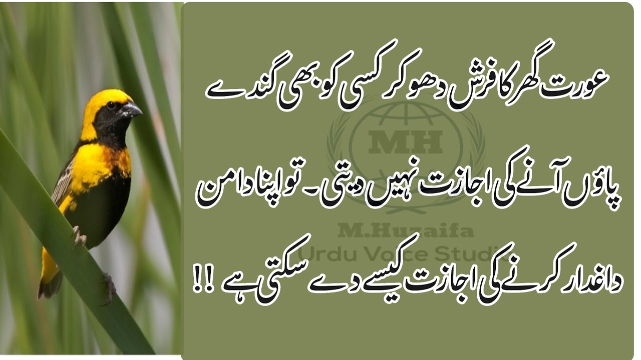 Amazing Pakistani Poet Hakeem Luqman's Masterpiece: Urdu Poetry - YouTube