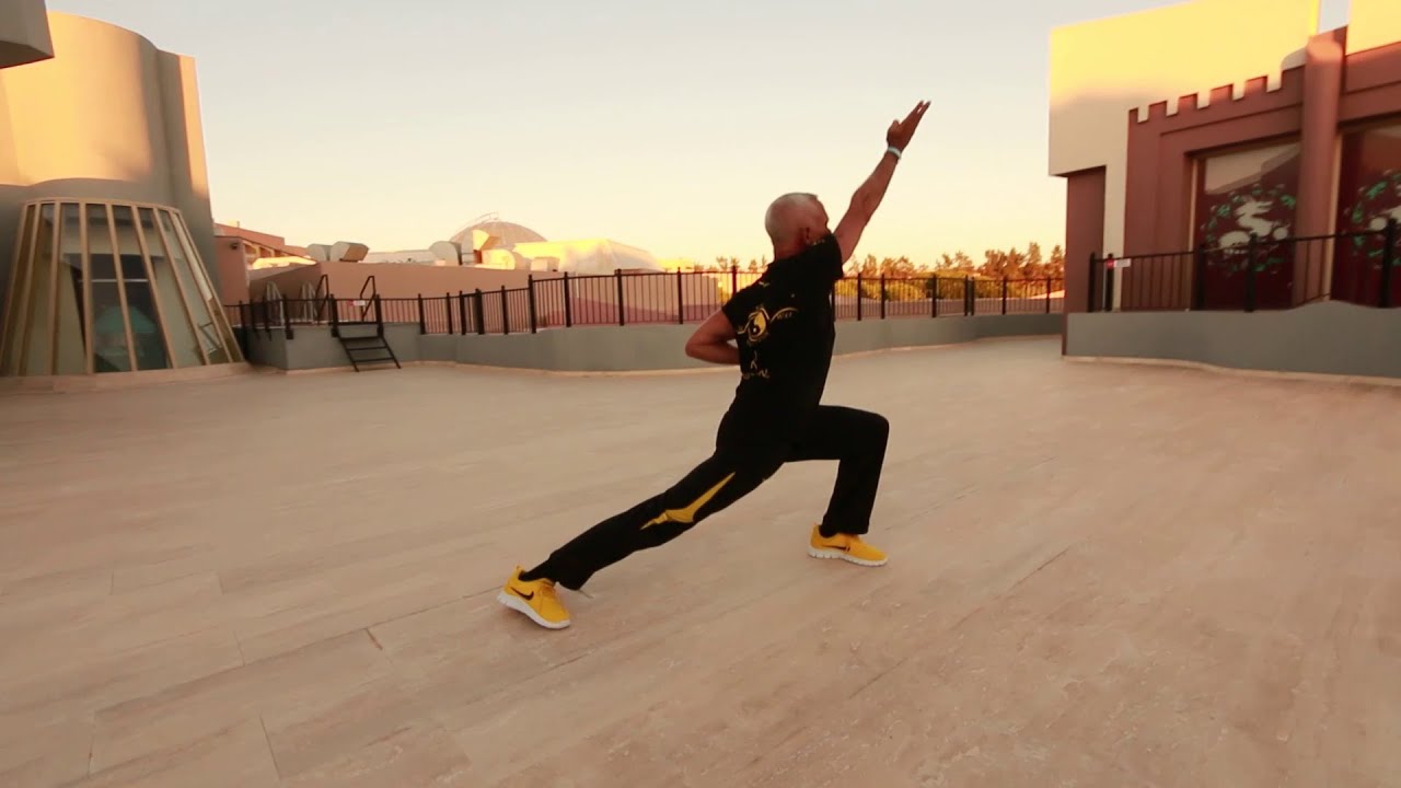 Senz Wu Wei Wing Tzun - Freies Training - von Justine Wilke - YouTube