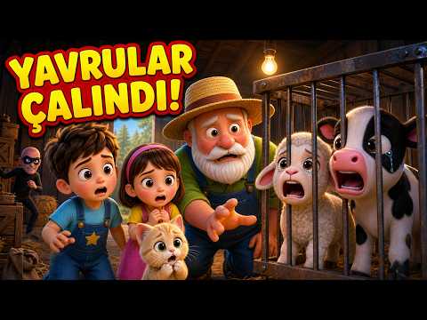 HAYIR!! 😱 Ali Baba’nın Çiftliğinde Hırsız! Buzağı ve Koyun Yavrusu Çalındı | PofuPofi