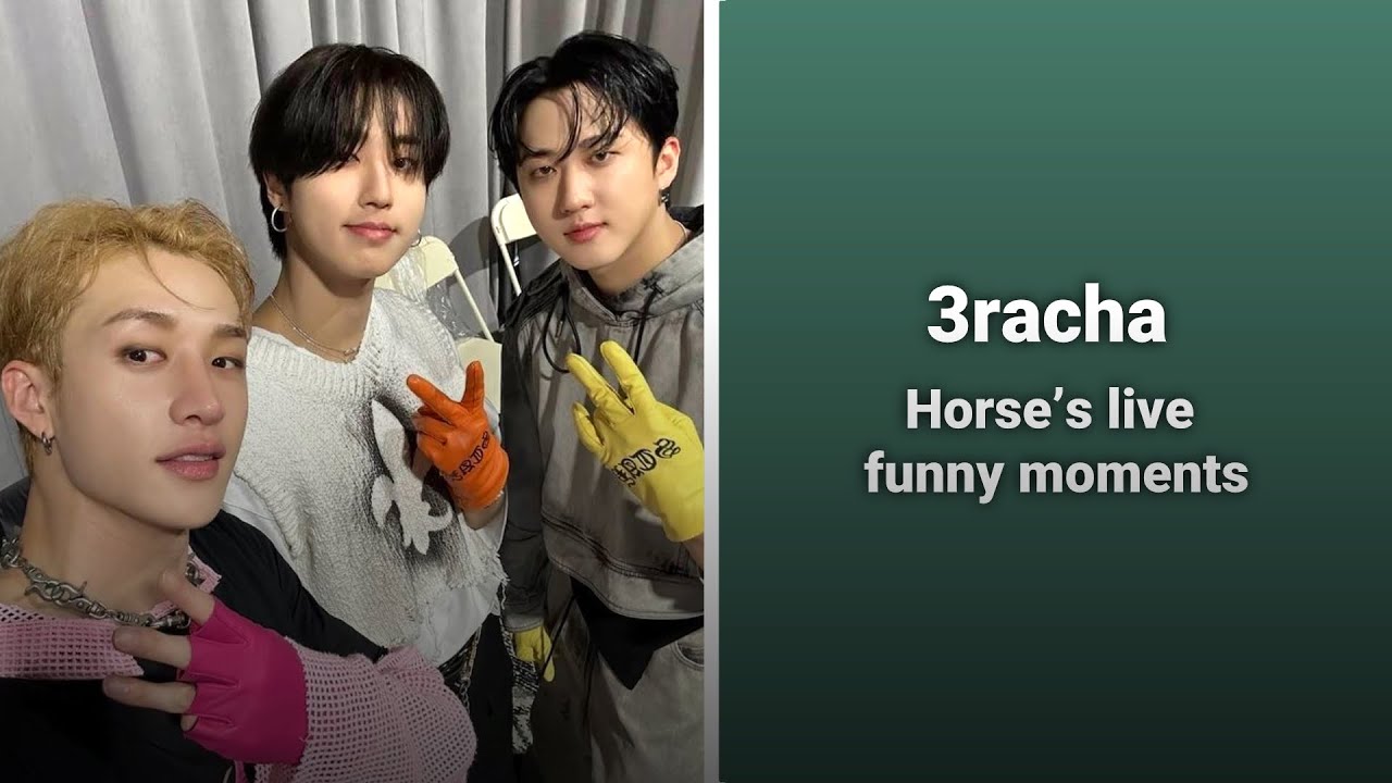 3racha horse’s live funny moments - YouTube