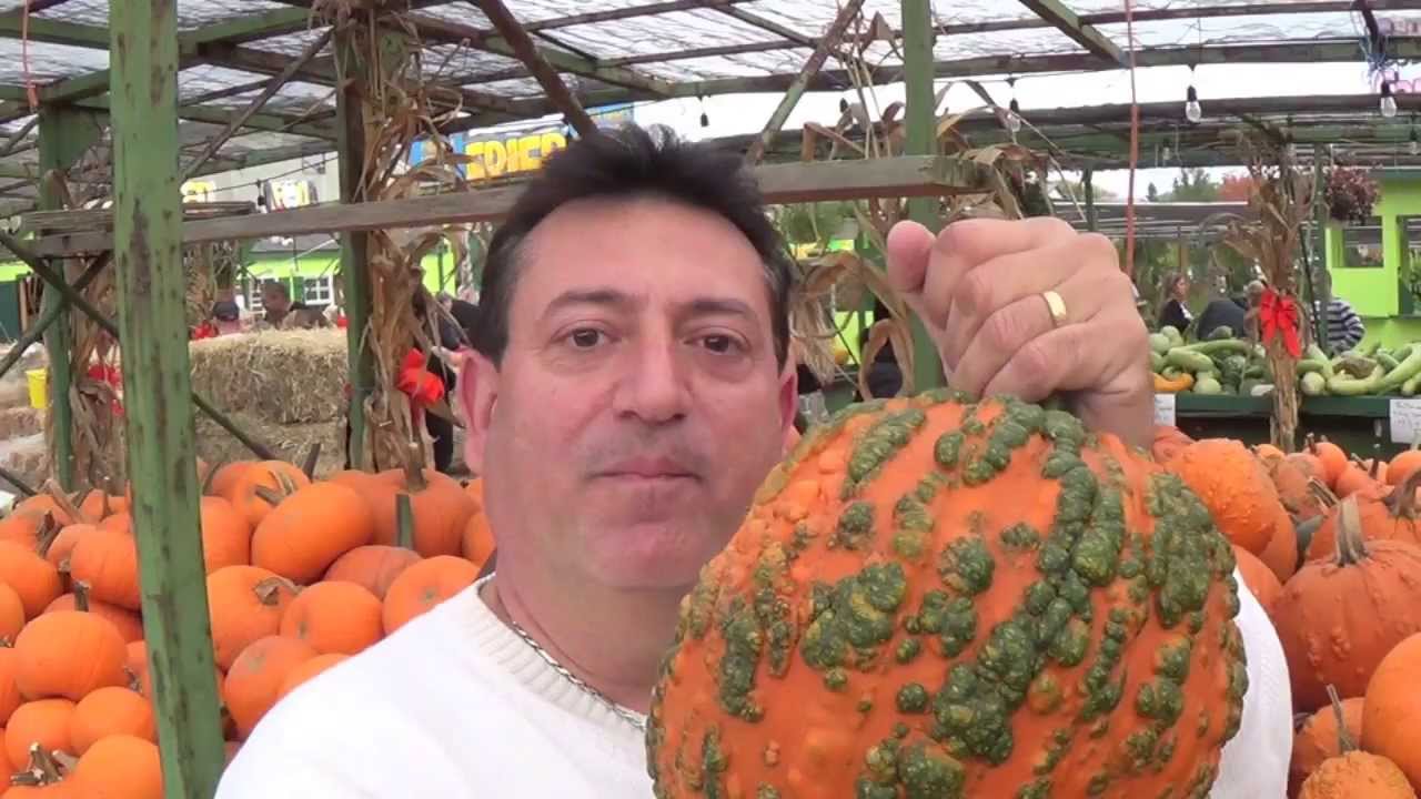 Very Strange Pumpkins - YouTube