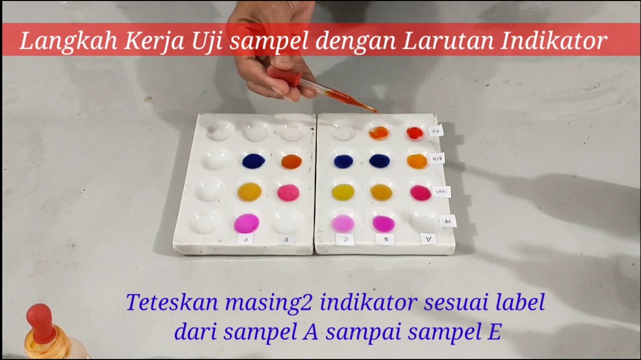 Praktikum Identifikasi Larutan Asam Basa II Lakmus, Larutan Indikator ...
