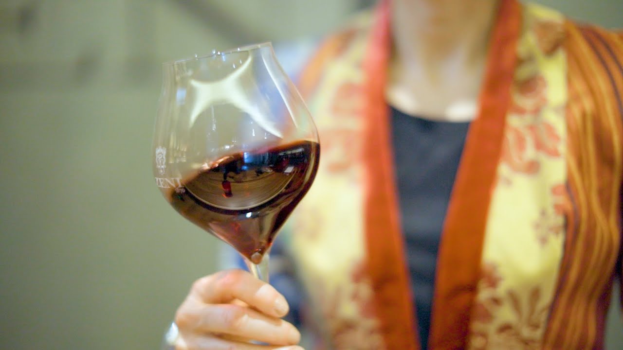 Zeni wine tasting: Federica Zeni tastes the Amarone Classico - YouTube