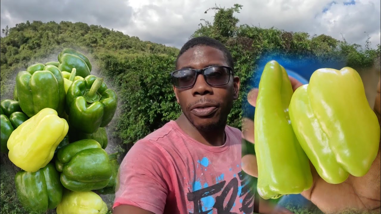 Huge Surprise We Couldn't Believe They Get So Huge 😳 | Time Is Moving ...