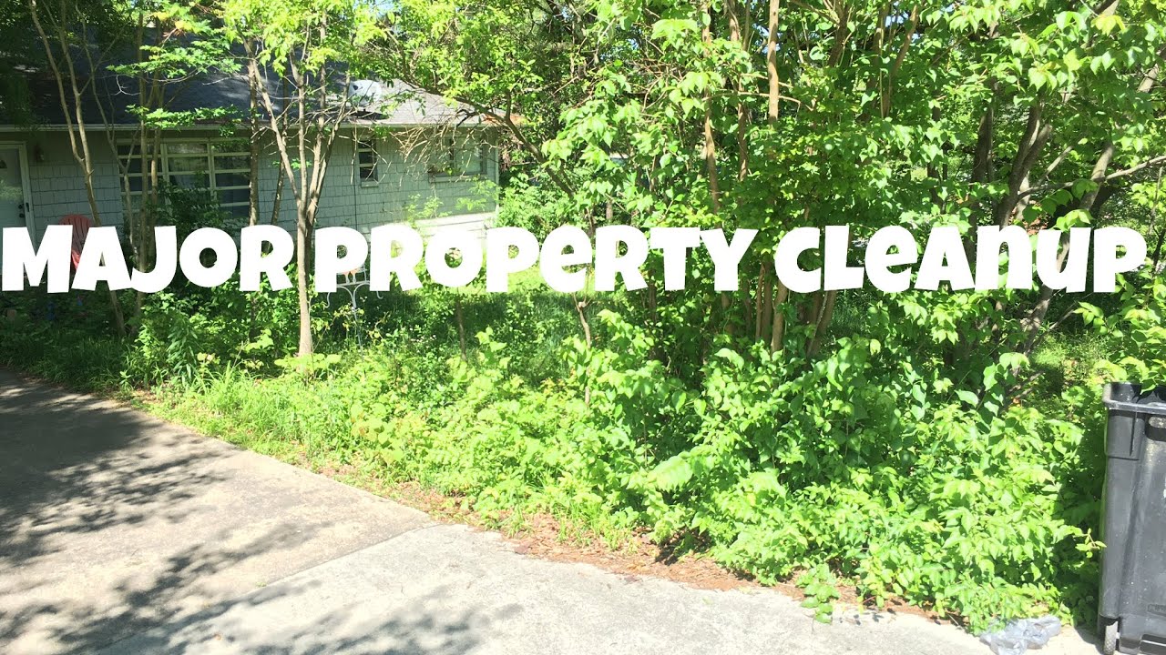 Major overgrown property clean up - YouTube